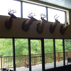 Home - Pushmataha Plantation